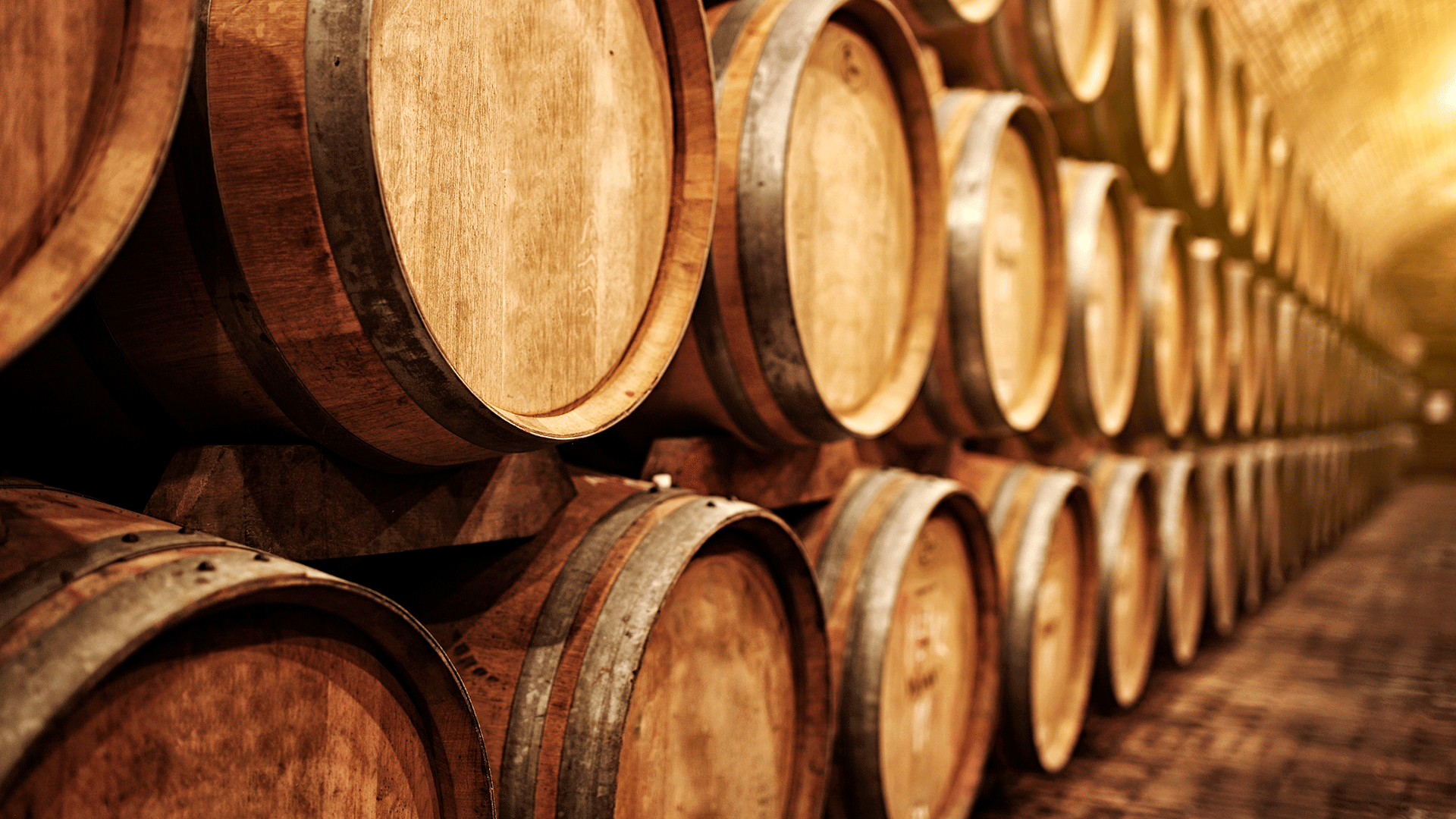 Gestión de bodegas - ITAGRA.CT